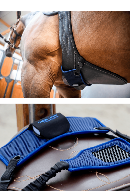 -CEEFIT Pulse et ECG