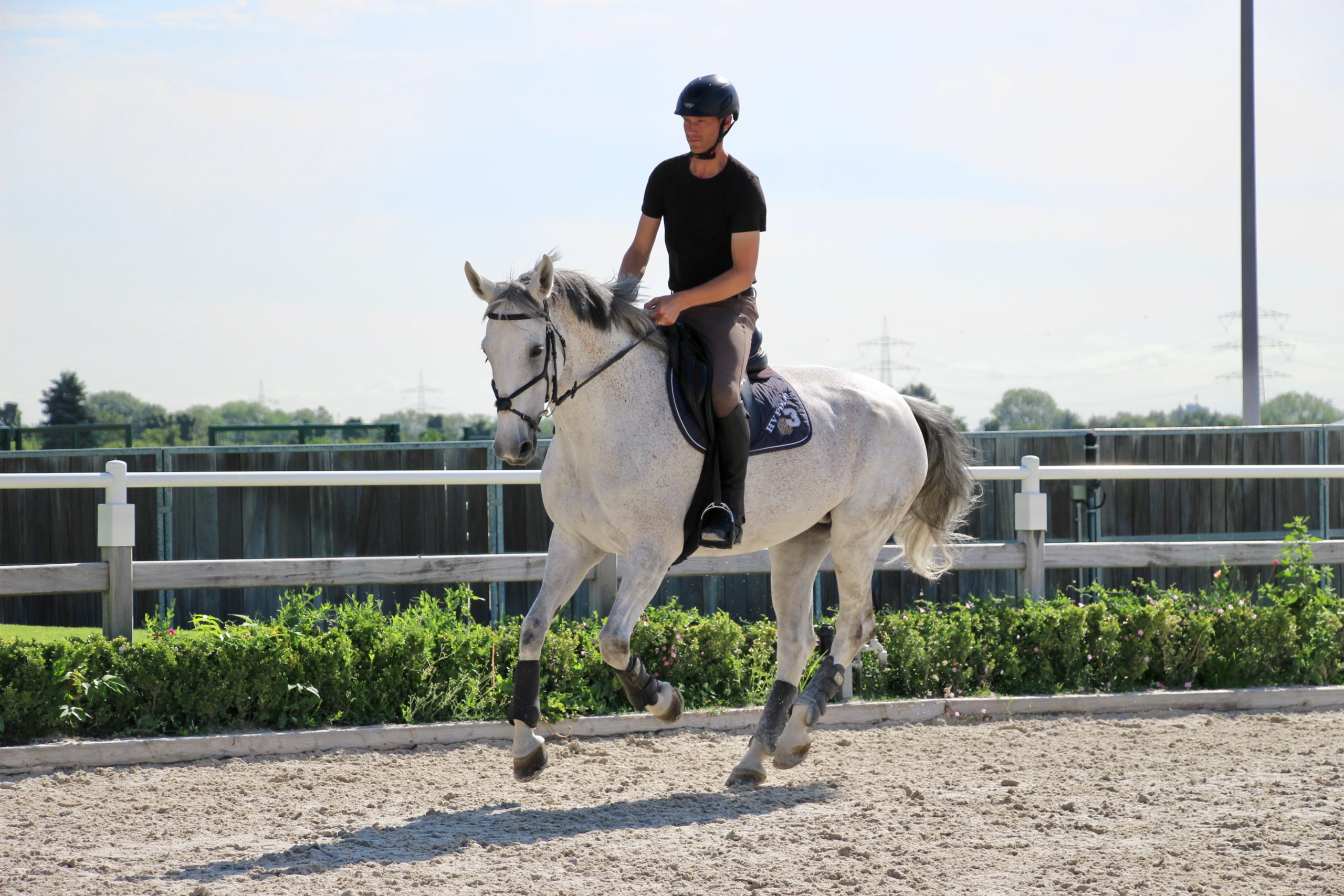 30 astuces pour devenir un meilleur cavalier - Seaver