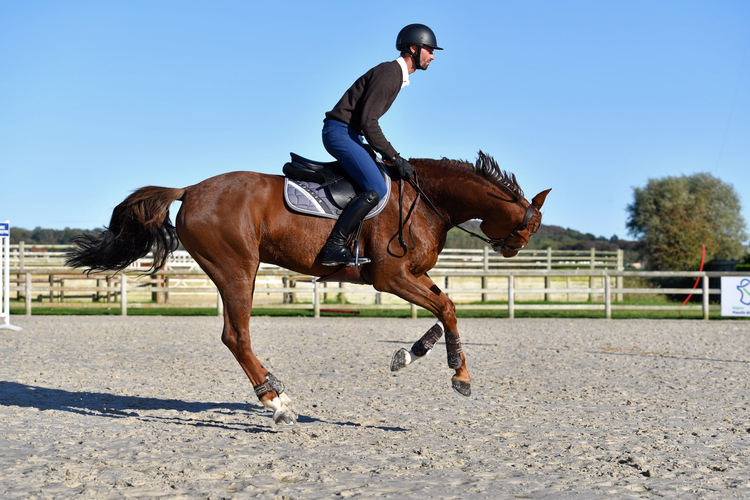 Cheval qui charge, qui se couche dans les courbes... Que faire